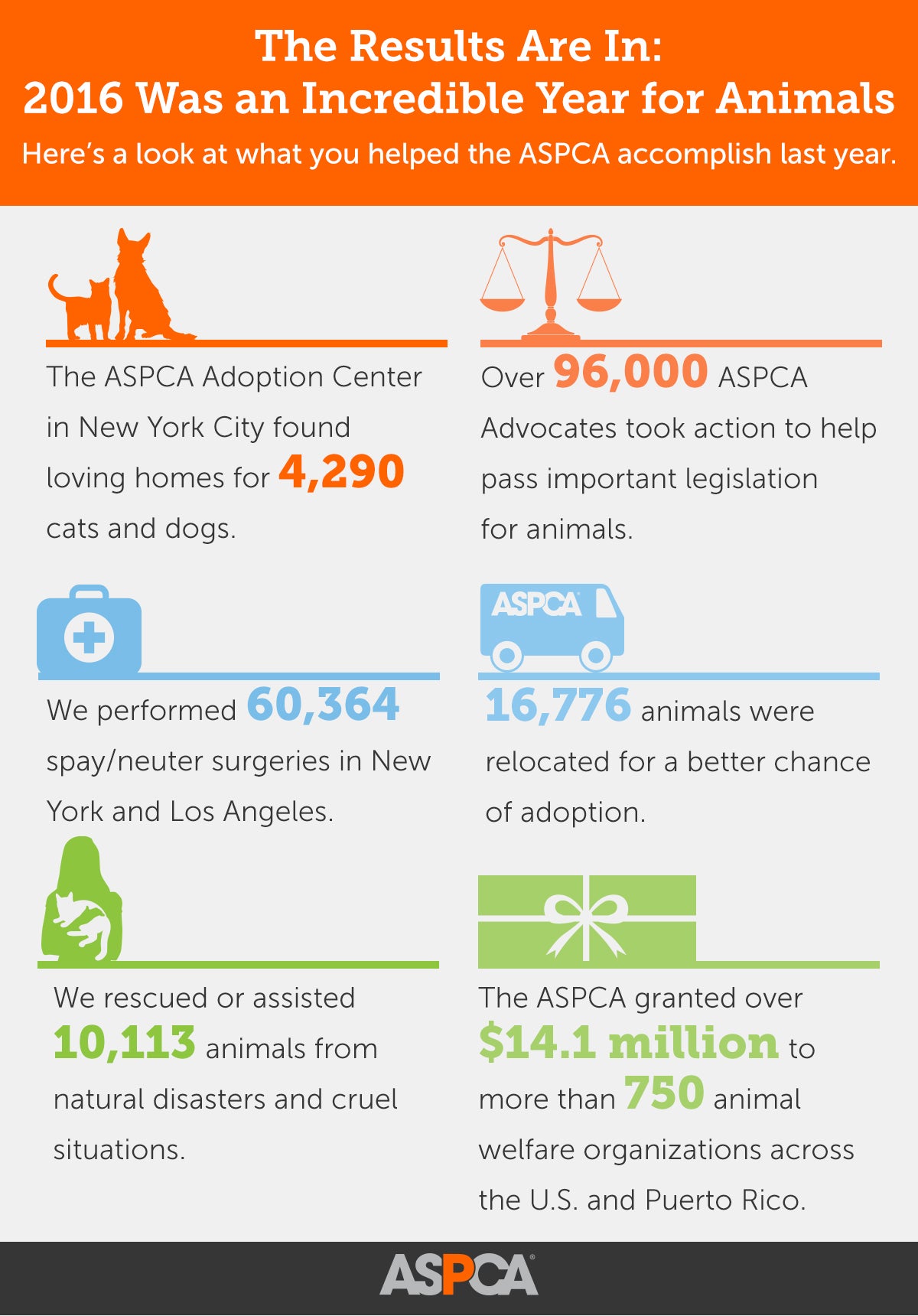 An Incredible Year for the ASPCA: Looking Back at 2016 | ASPCA