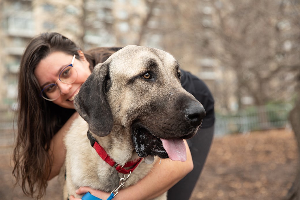 Can You Guess These Animals’ Hopes for a Happy 2023? | ASPCA