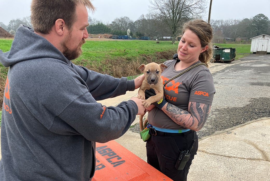 10 Inspiring Things You Helped Make Possible for Animals This Year | ASPCA