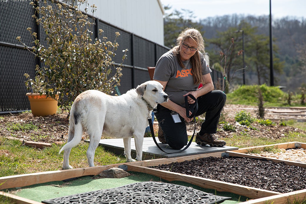 10 Inspiring Things You Helped Make Possible for Animals This Year | ASPCA