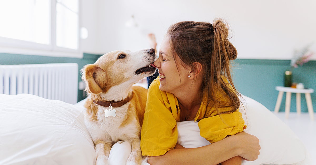 ASPCA® Pet Health Insurance | ASPCA