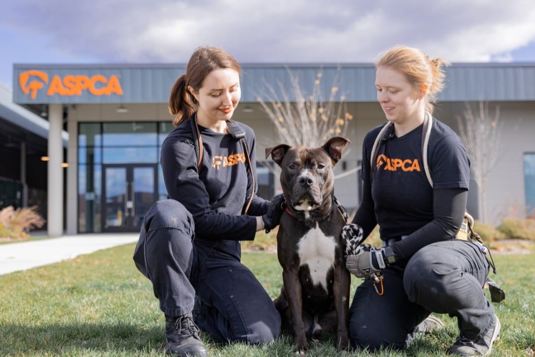 ASPCA Opens Animal Recovery Center in Hudson Valley to Rehabilitate and ...