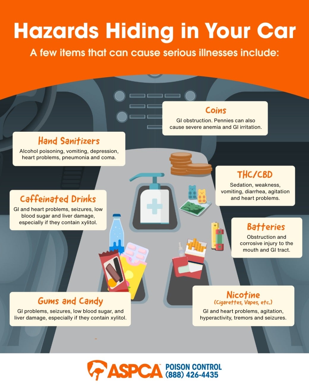 Traveling With Pets? Follow These Expert Dos and Don’ts to Keep Them ...