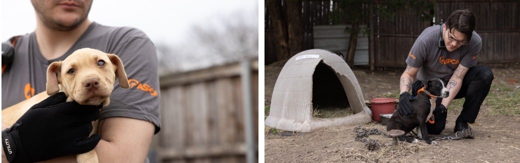 ASPCA Helps Rescue Nearly 200 Animals From Suspected Dogfighting ...