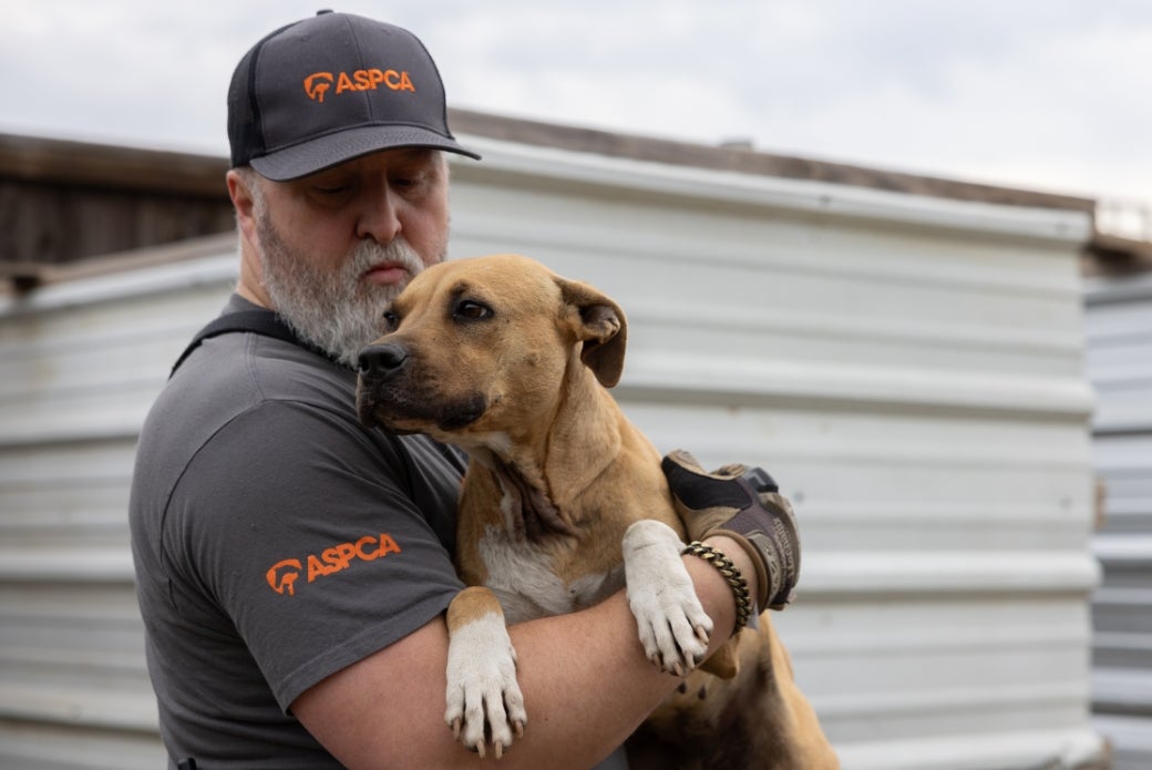 ASPCA Helps Rescue Nearly 200 Animals From Suspected Dogfighting ...