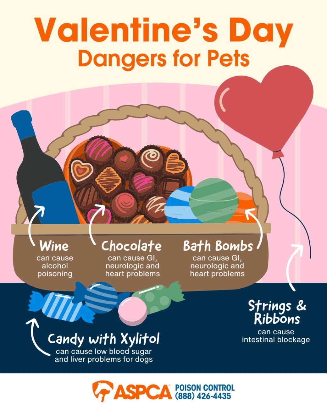 Valentine’s Day Safety Tips | ASPCA