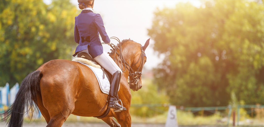 A Viewer s Guide To The Olympic Equestrian Disciplines A Viewer s Guide To The Olympic Equestrian Disciplines