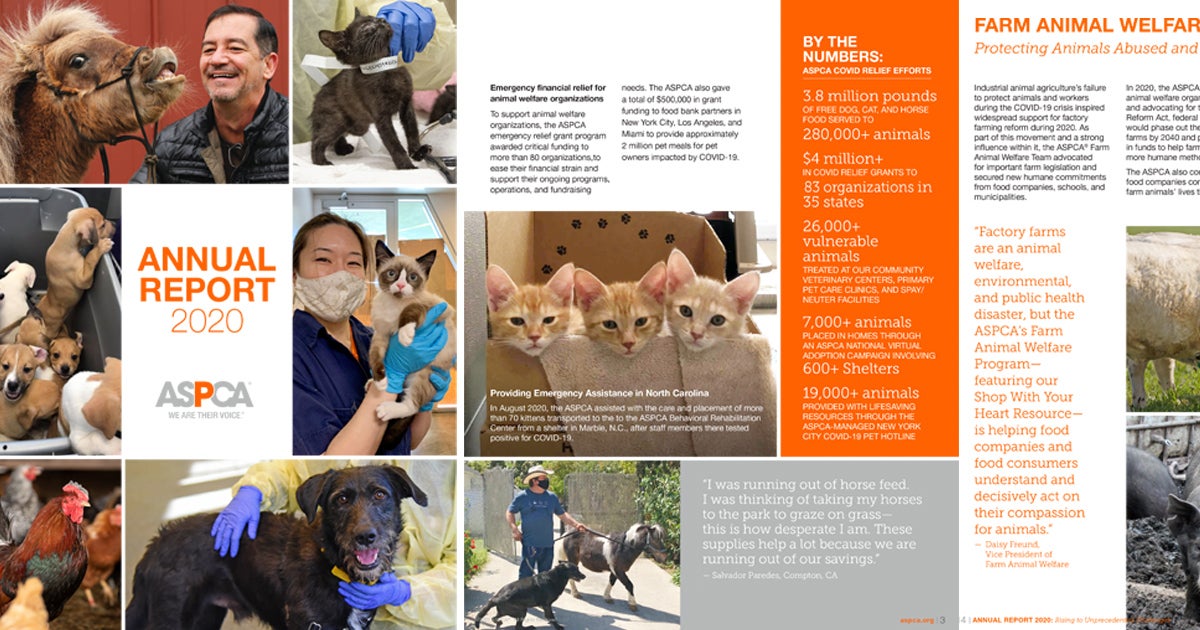 Annual Report | ASPCA