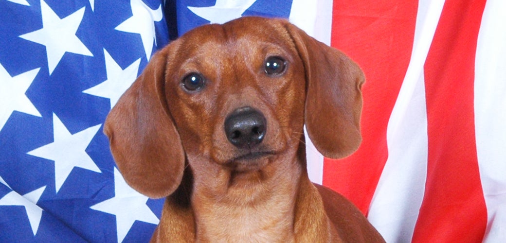 advocacy-alert_maryland-were-coming-your-town-fall_main-image.jpg | ASPCA