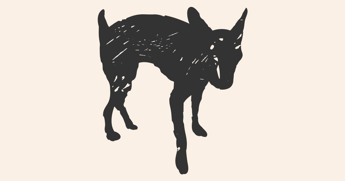 Barred From Love | Puppies | Cruel Breeding | ASPCA