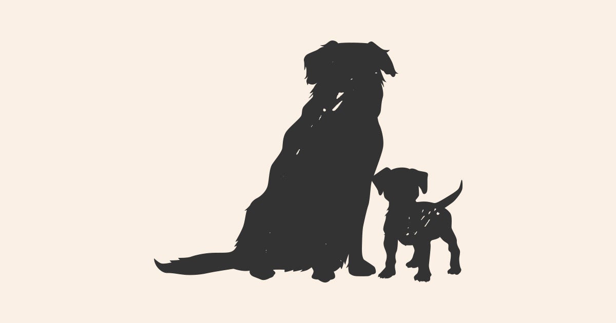 Barred From Love | Puppies | Dog Breeders | ASPCA