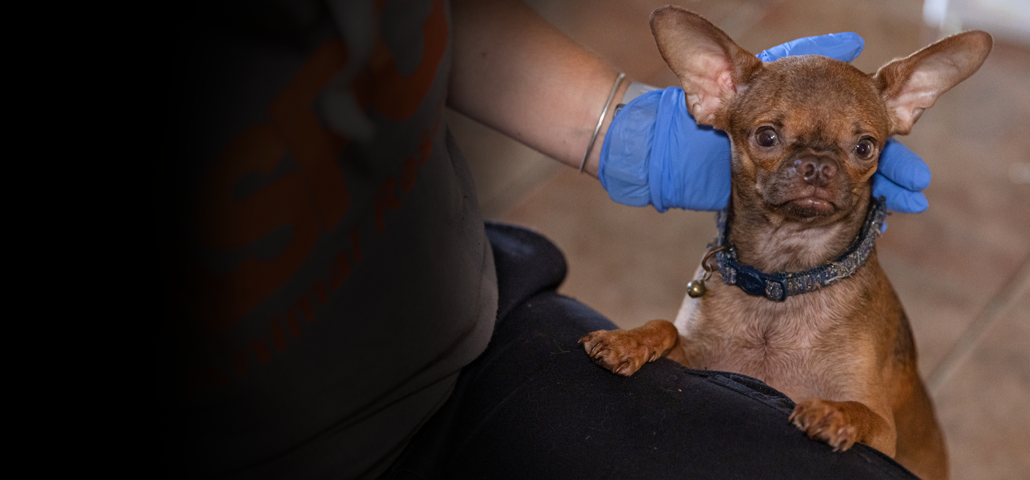 Desktop Billboard Image: