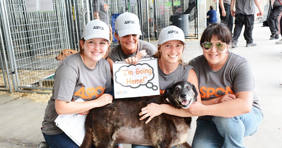 A Weekend of New Beginnings: Alabama Adoption Event Recap | ASPCA