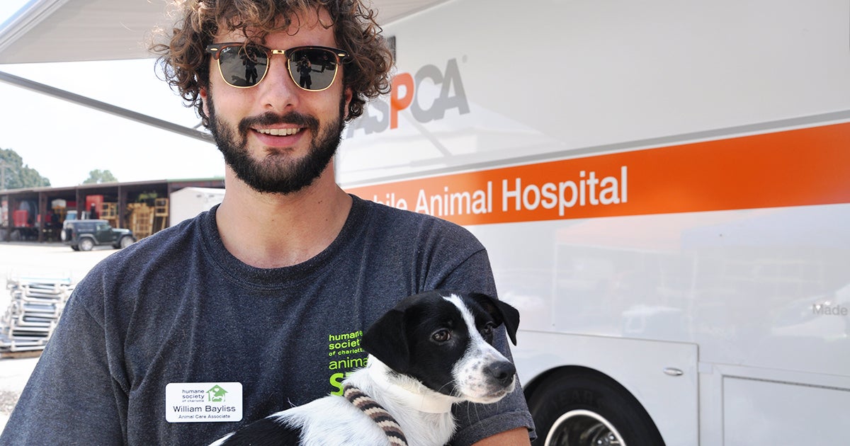 ASPCA Transports Remaining Alabama Rescues to 10 States Across U.S. | ASPCA