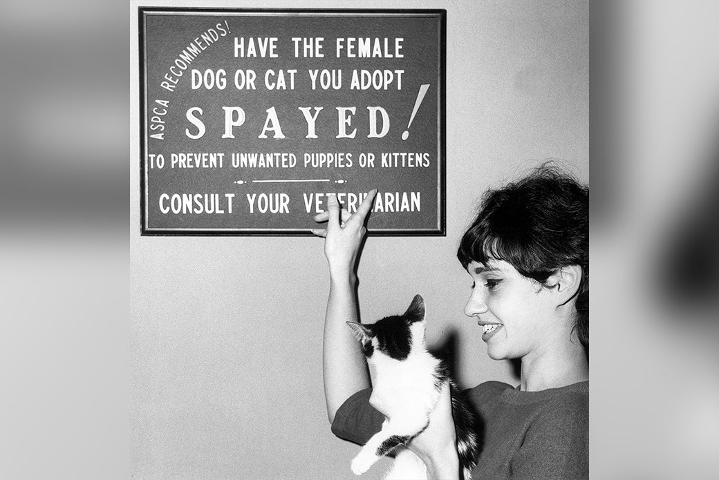 Championing Spay/Neuter Helped Define ASPCA in the 20th Century and ...