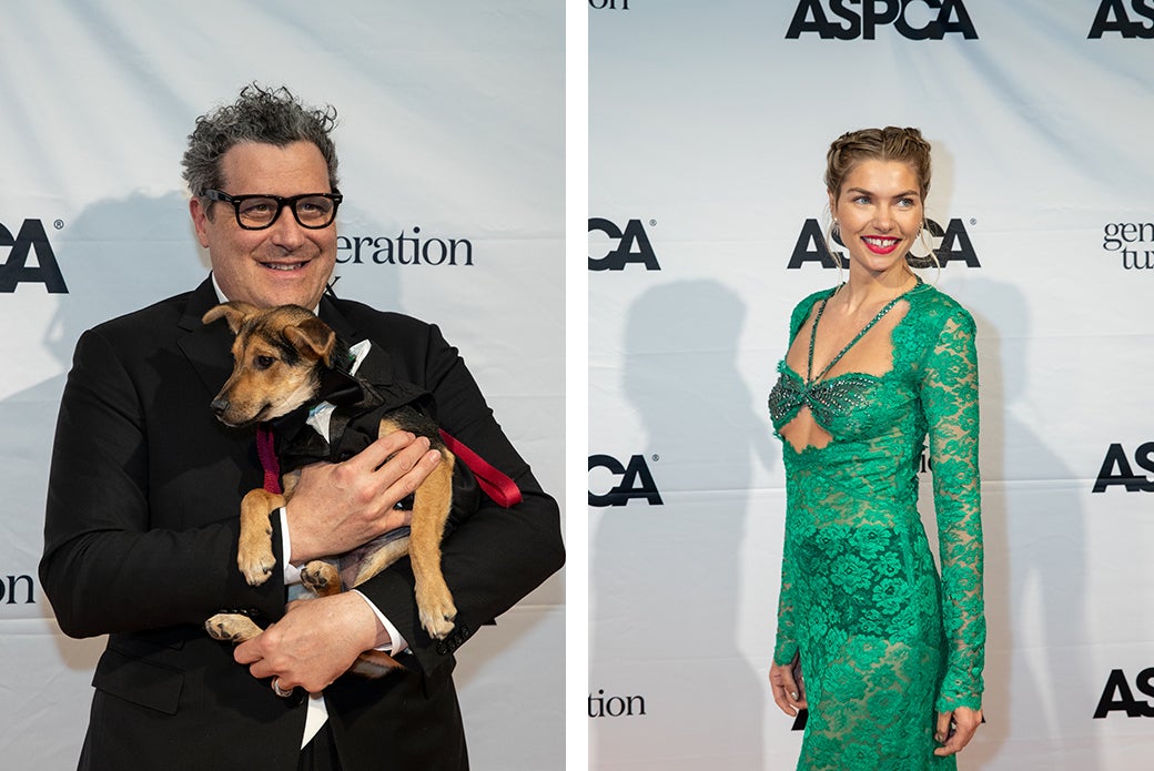 David Patrick Columbia Honored at the 22nd Annual Bergh Ball | ASPCA