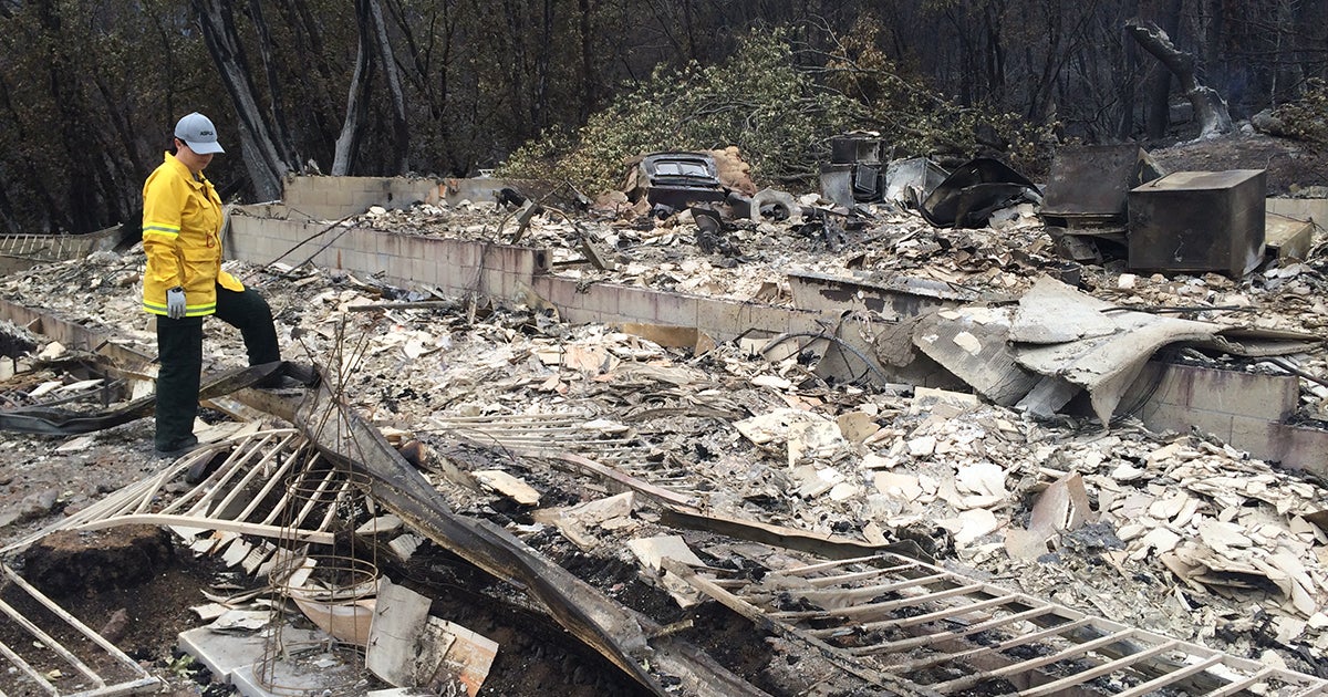 UPDATE: ASPCA Assists LCACC in Providing Support for Hundreds of ...