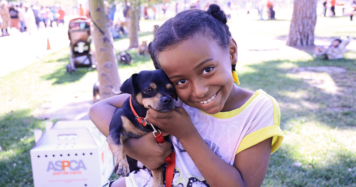 Are You a Veterinarian or Willing Volunteer in the NYC Area? We Need ...