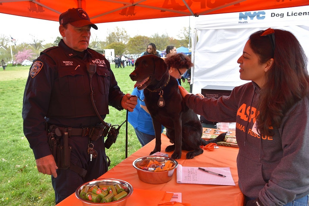 blog_earth-day-event_042417_body2.jpg | ASPCA