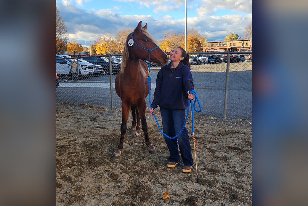 Riding High After Another Successful Equine Affaire | ASPCA