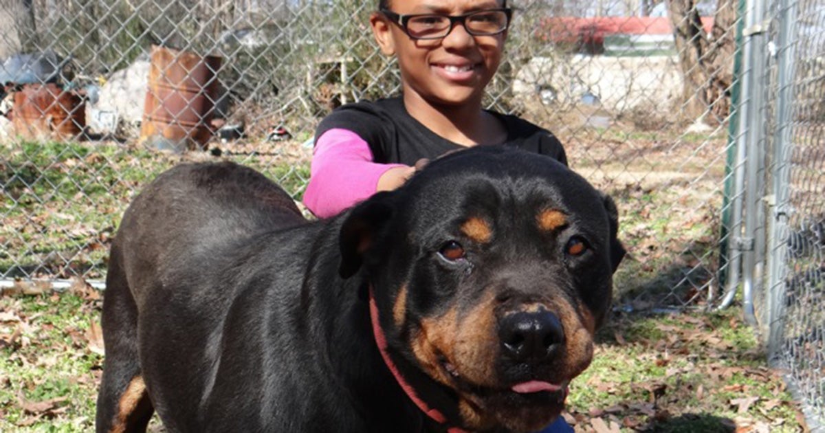 Coalition to Unchain Dogs Utilizes ASPCA Grant Funds to Assist Dogs in ...