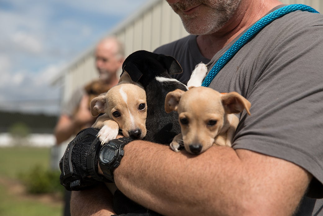 ASPCA Deploys to Assist Animals and Communities in Storm’s Path | ASPCA