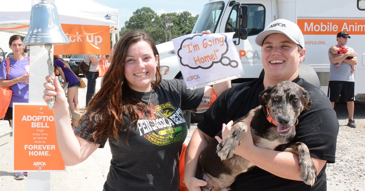 The Partner Animal Rescue Can’t Do Without | ASPCA