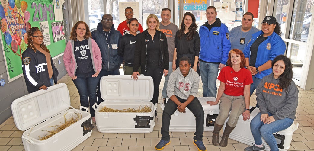 blog_nypd-explorers-workshop_020718_main.jpg | ASPCA