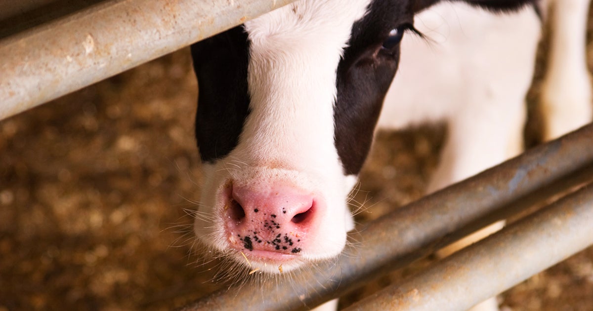 Champion for Animal Welfare Supports Reform at USMARC | ASPCA