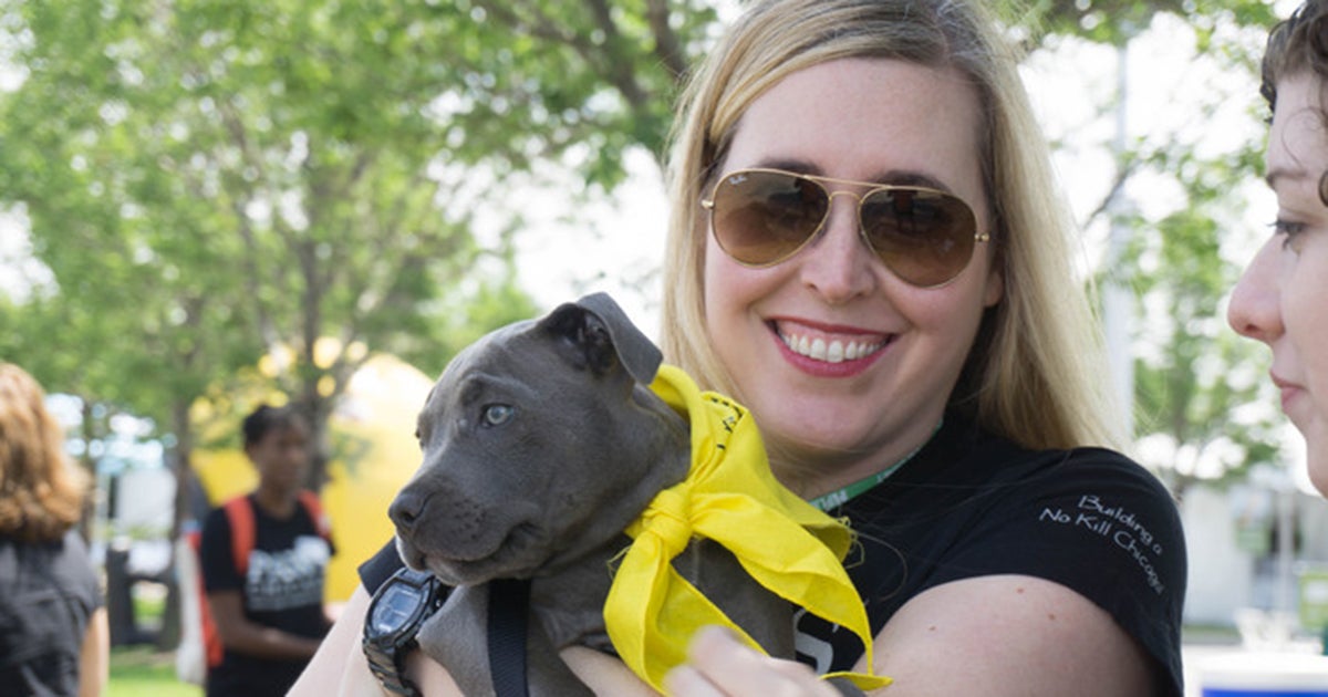 Animal Planet Teams Up With the ASPCA to Find Homes for 2,000+ Pets | ASPCA