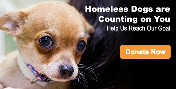 How Many People Donate To Aspca