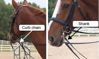 Riding Equipment: The English Bridle | ASPCA