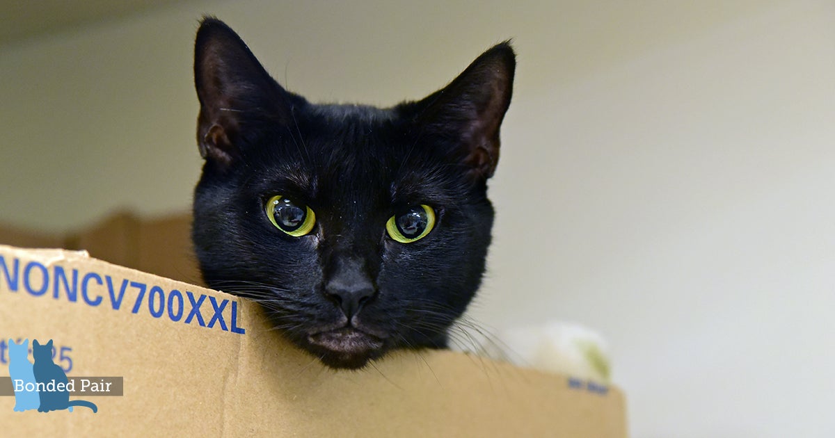 Winifred | ASPCA