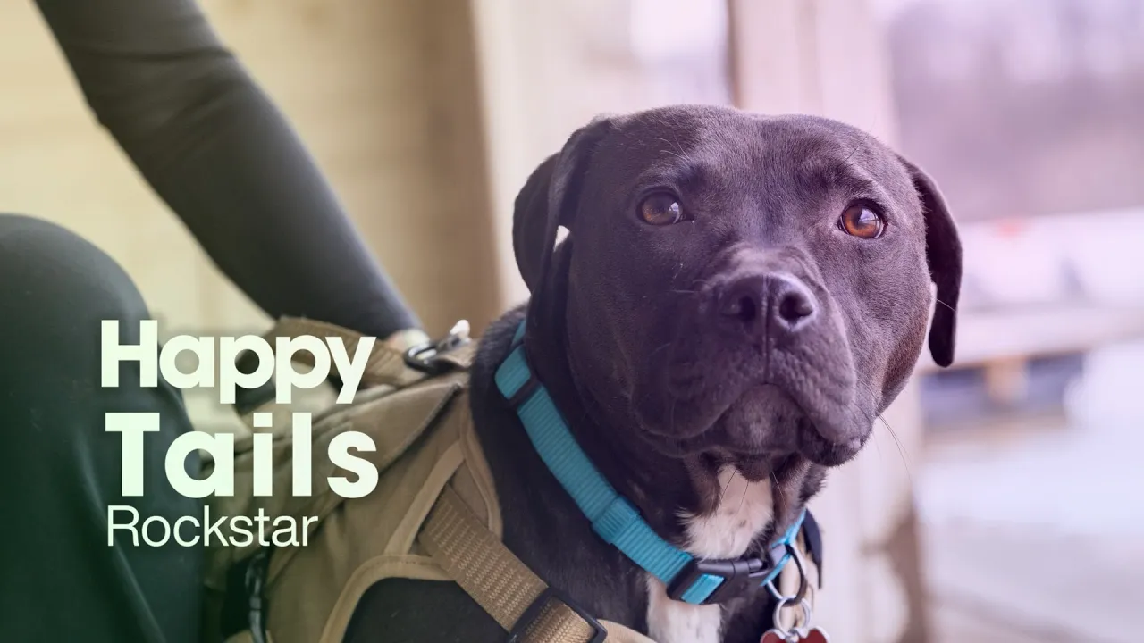 True to His Name, Rockstar Overcomes His Past as a Suspected ...