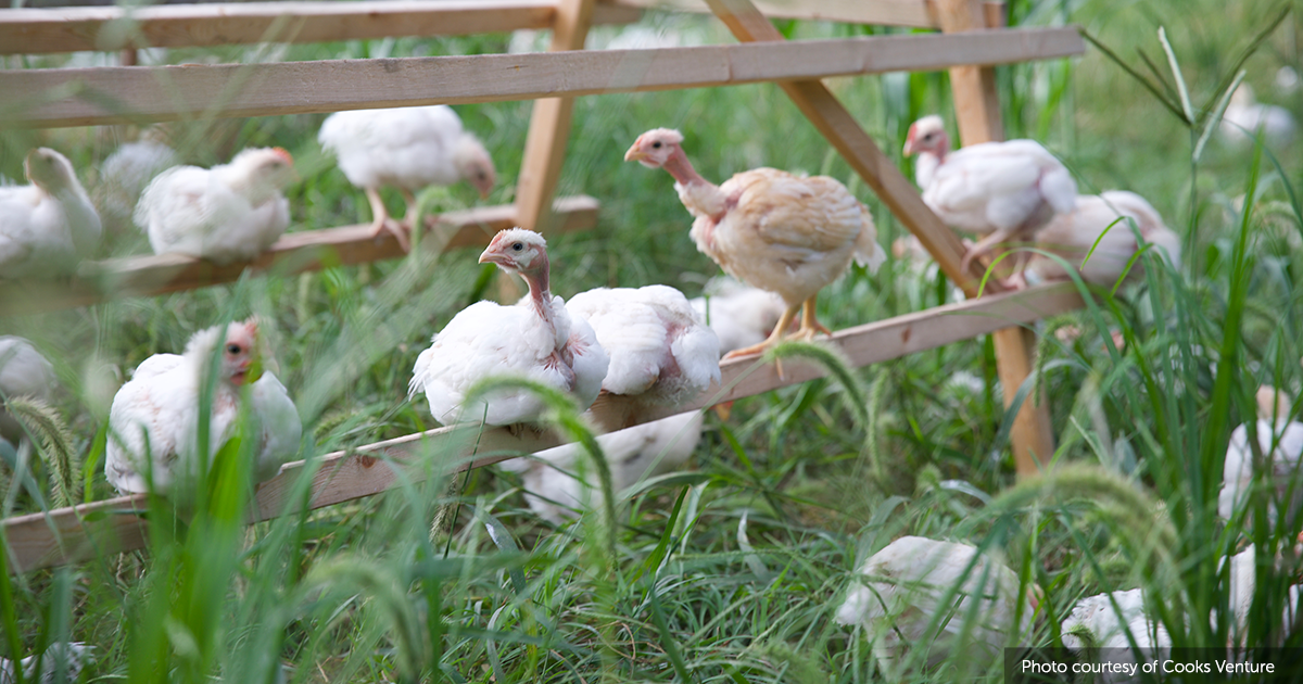 A Better Life from Day One: New Label Could Drive Big Change for ...