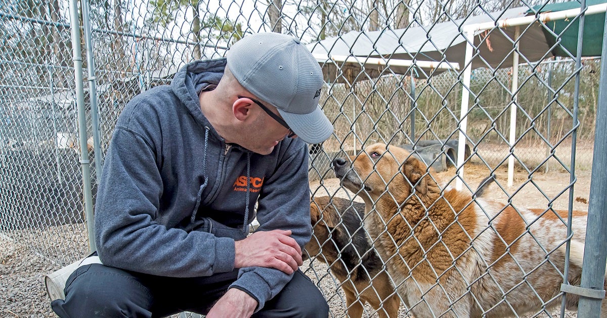 Keeping the Animal Welfare Act on the Job of Animal Protection | ASPCA