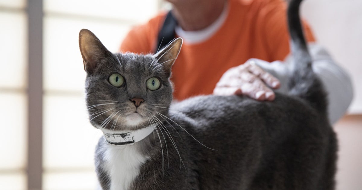 Shasta Loves to Unwind with Her Favorite People! | ASPCA