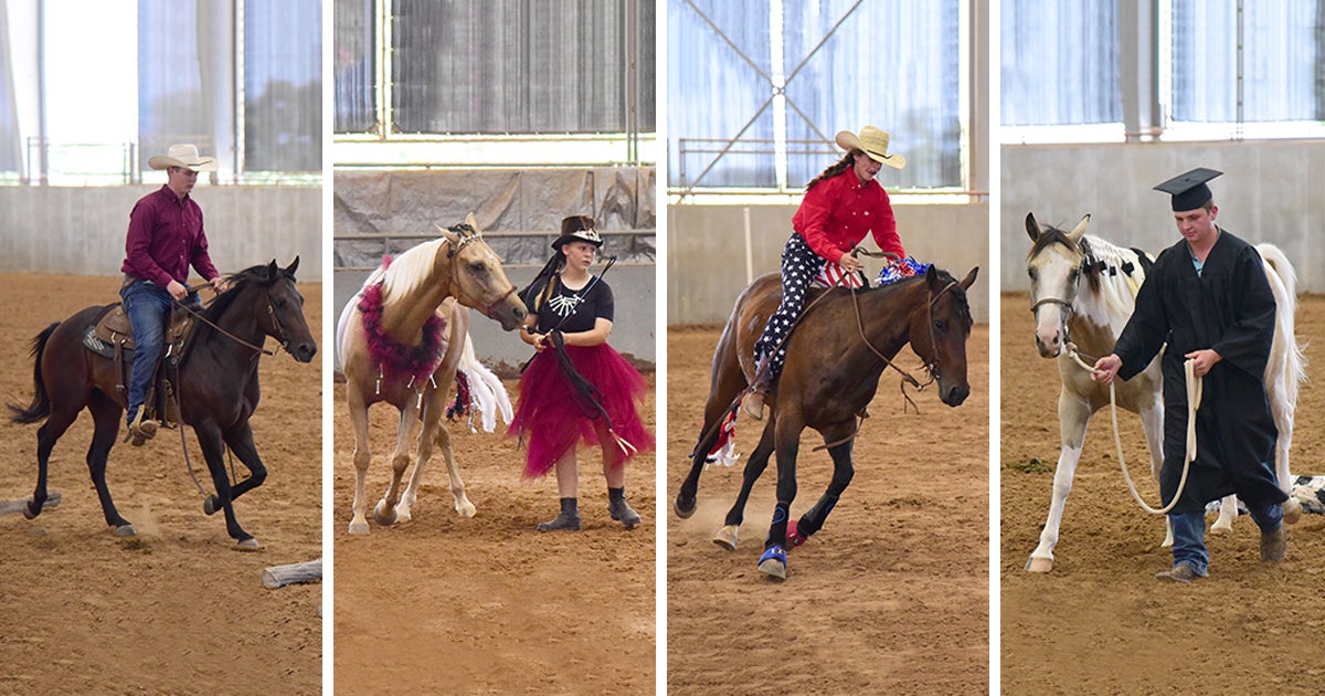 4-H Youth Trainers Help Texas Horses Win in Many Ways | ASPCA