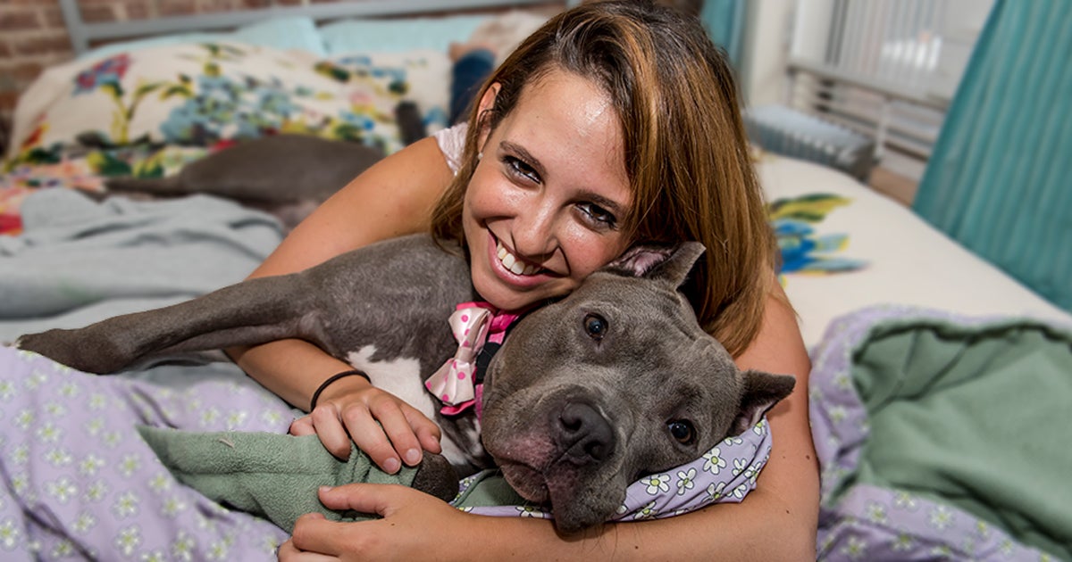 The Top 10 Benefits of Adopting a Dog | ASPCA