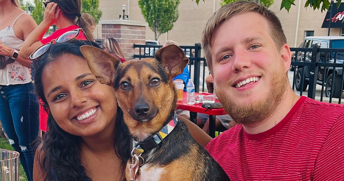ASPCA Poison Control Reaches Five Millionth Case: A Chihuahua-Mix with ...