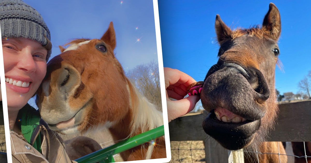 ASPCA “Relinquishers Welcome” Grant Is Changing the Fate of Equines | ASPCA