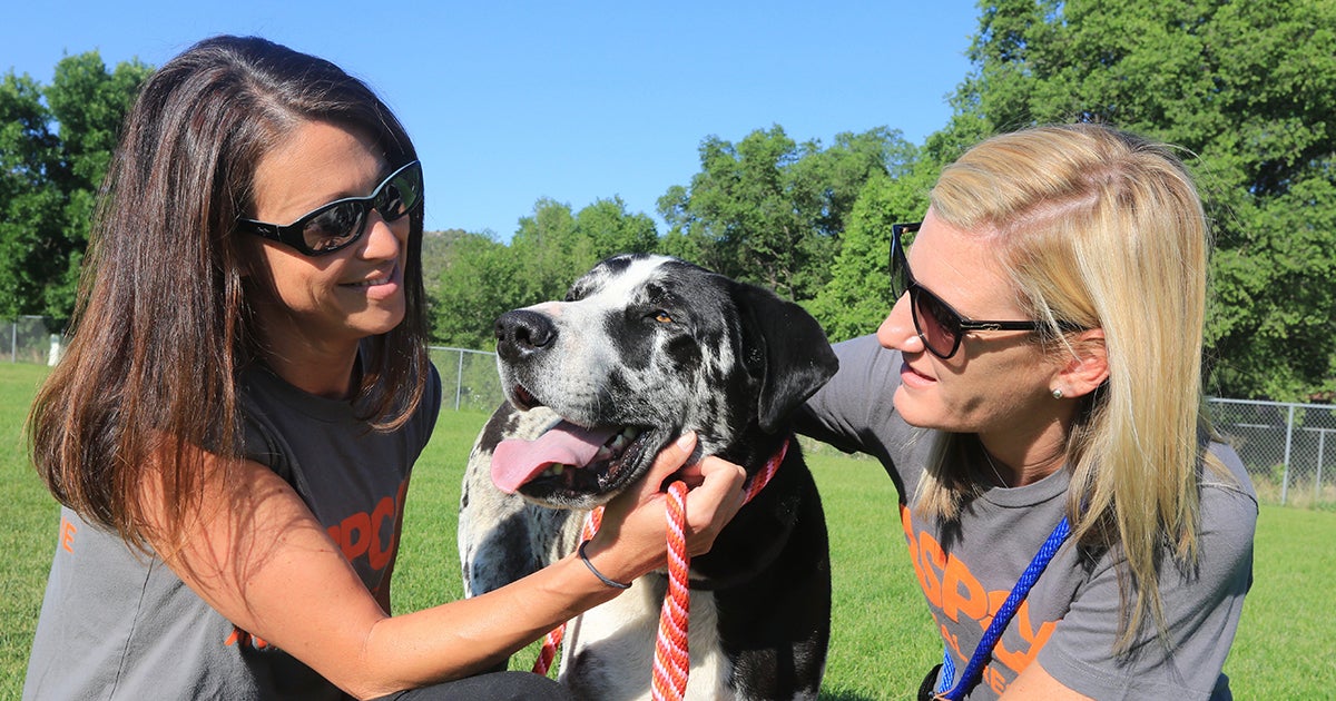 BREAKING: ASPCA Responders Help Animals Displaced by Devastating Fire ...