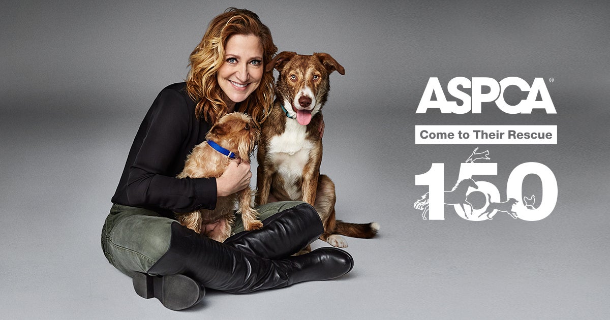 It’s Our 150th Anniversary! Here Are Five Ways to Take Part in 150 Days ...