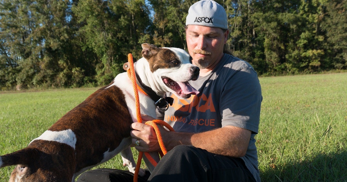 An Incredible Year for the ASPCA: Looking Back at 2016 | ASPCA