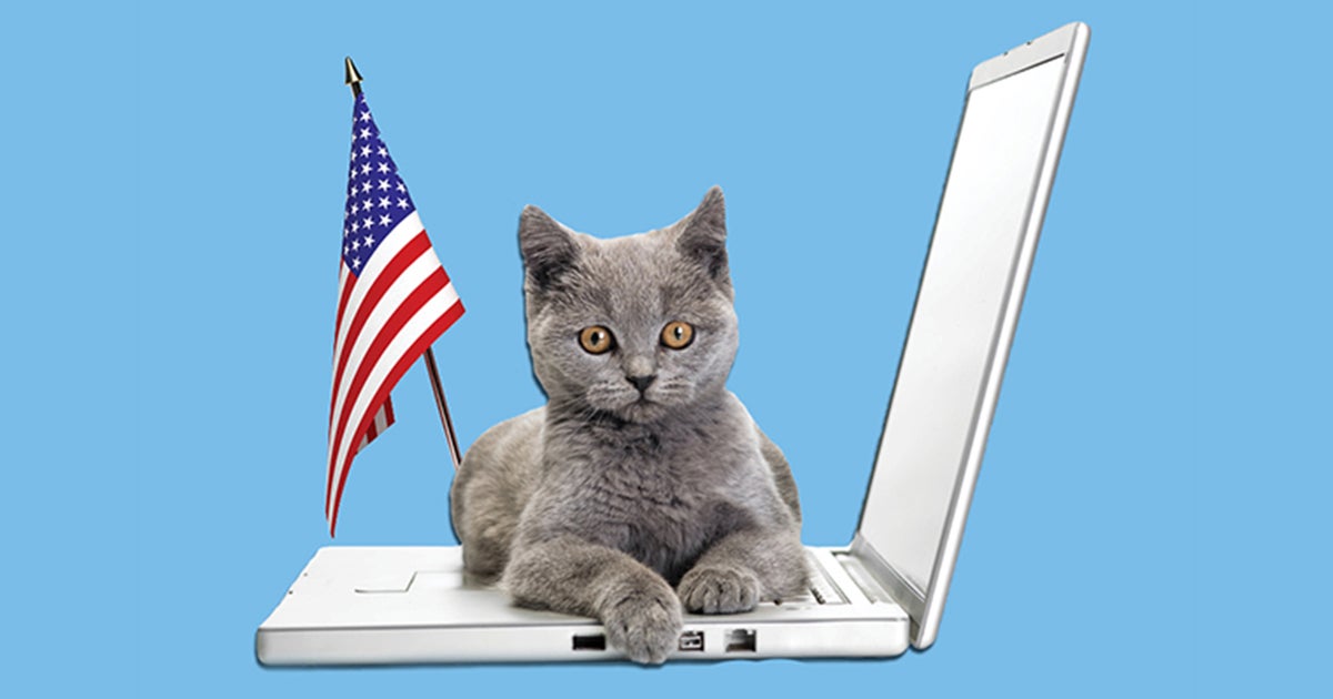 5 Easy Ways to Help Pass Laws for Animals—from Your Computer! | ASPCA