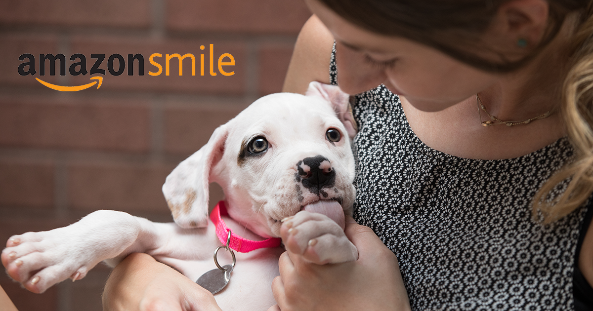 Increase Your Impact for Animals in Need Tenfold With AmazonSmile | ASPCA