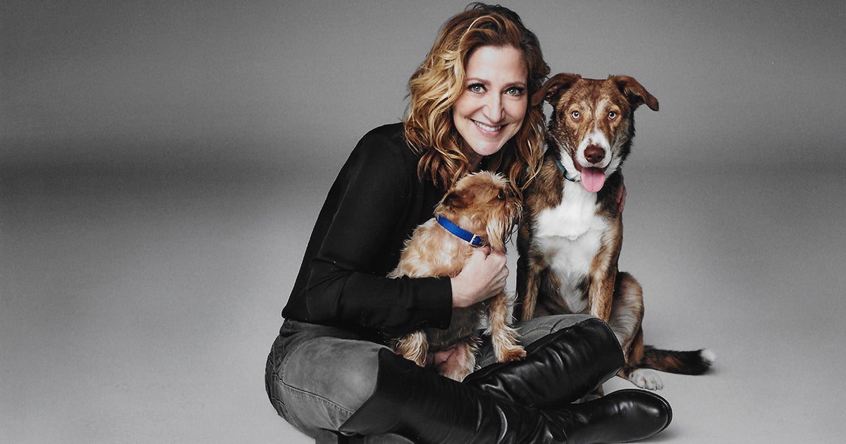 Celebrities and Citizens Are Urging NY’s Governor to Sign Puppy Mill ...