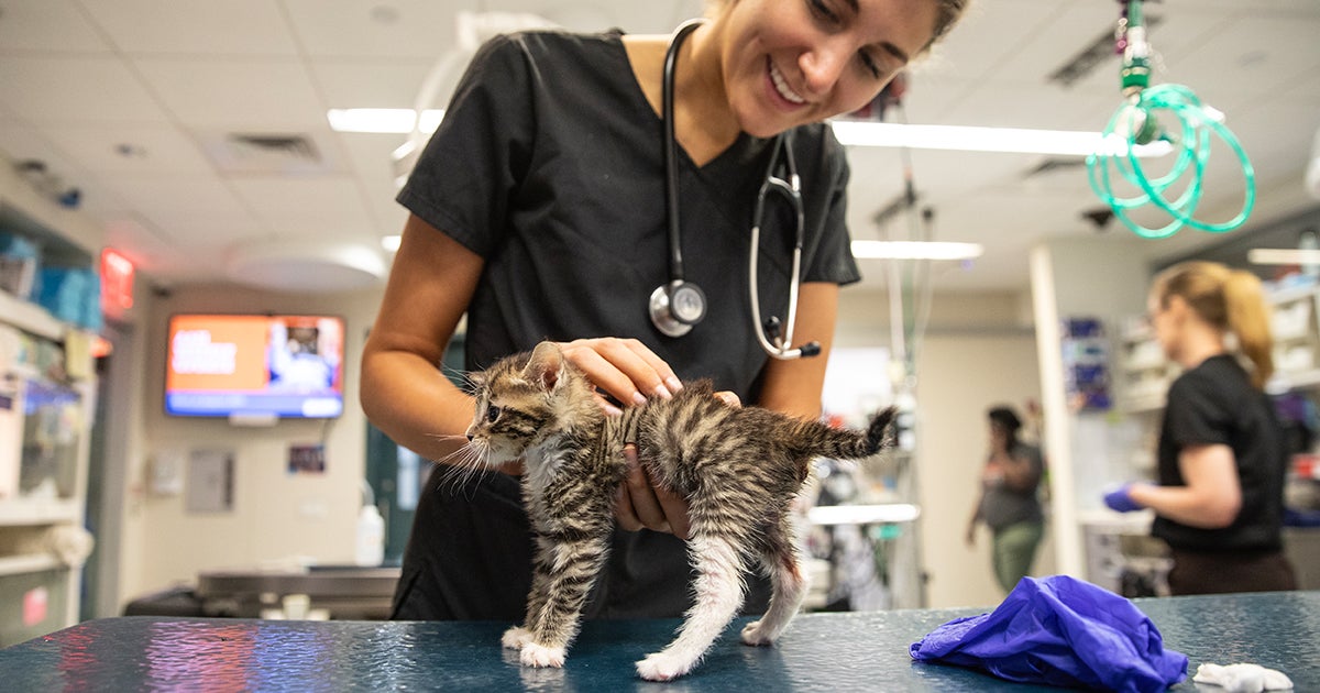 Victory for People, Pets and Vets – Colorado Passes Prop 129! | ASPCA