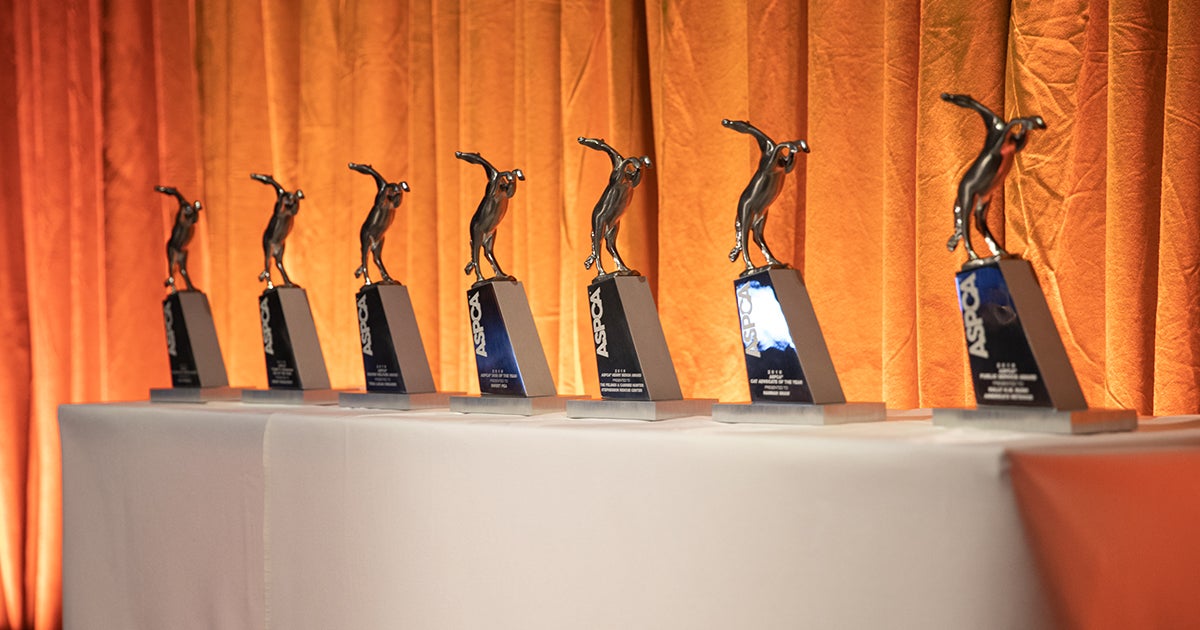 Extraordinary People and Animals To Be Celebrated at the 2024 ASPCA ...