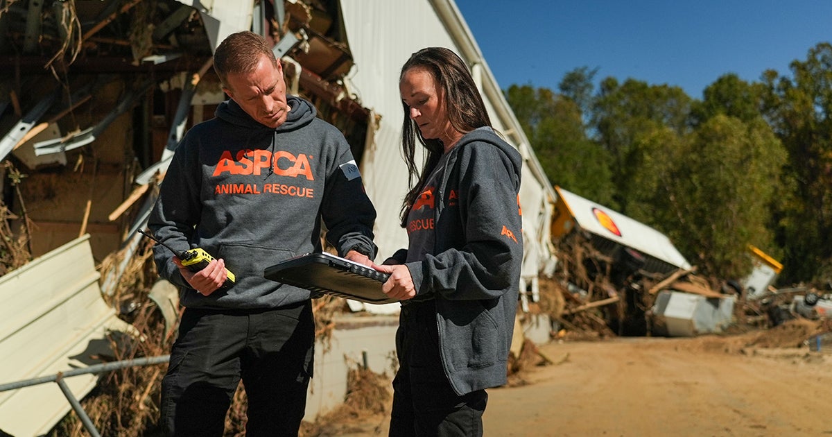 Recognizing the One-Year Anniversary of Hurricane Helene | ASPCA